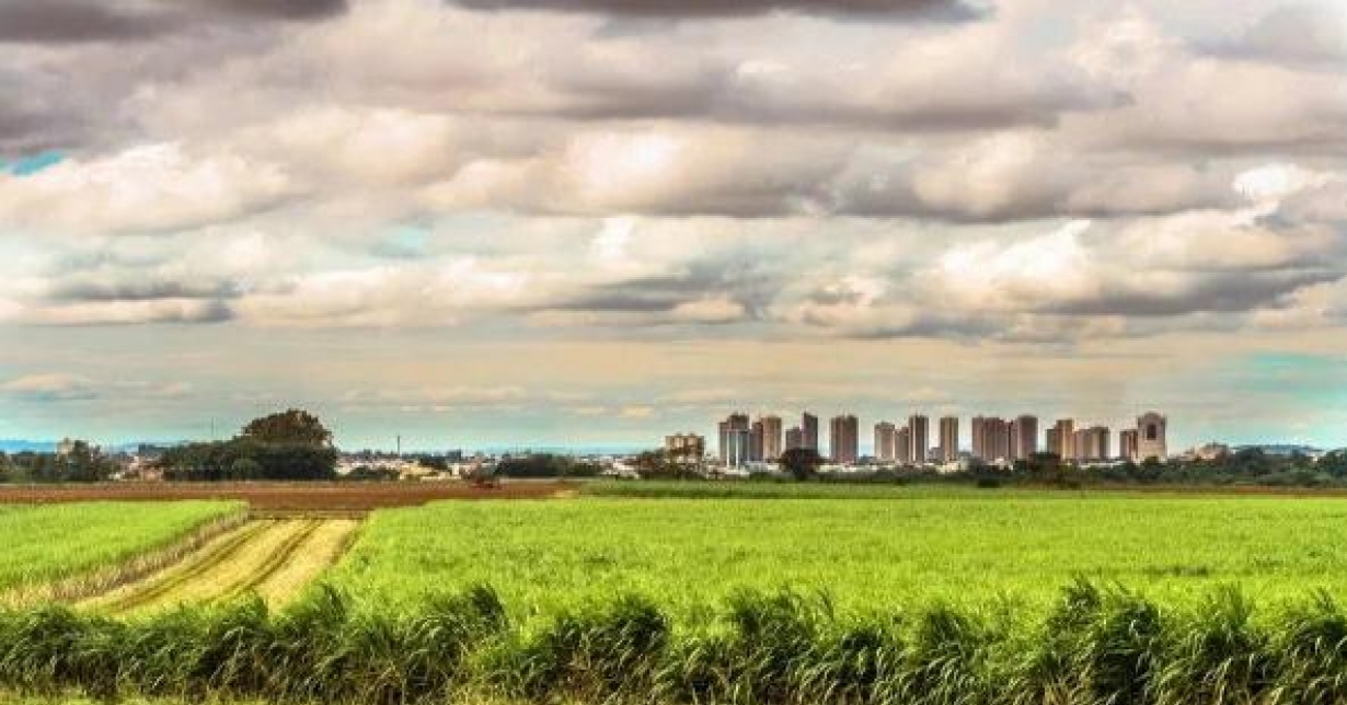 Curso Rápido grátis de Curso de a educação rural no brasil